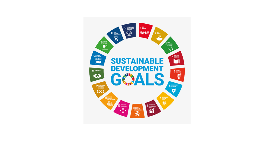 Sdg Goals Logo Supporting The Sustainable Development Goals African
